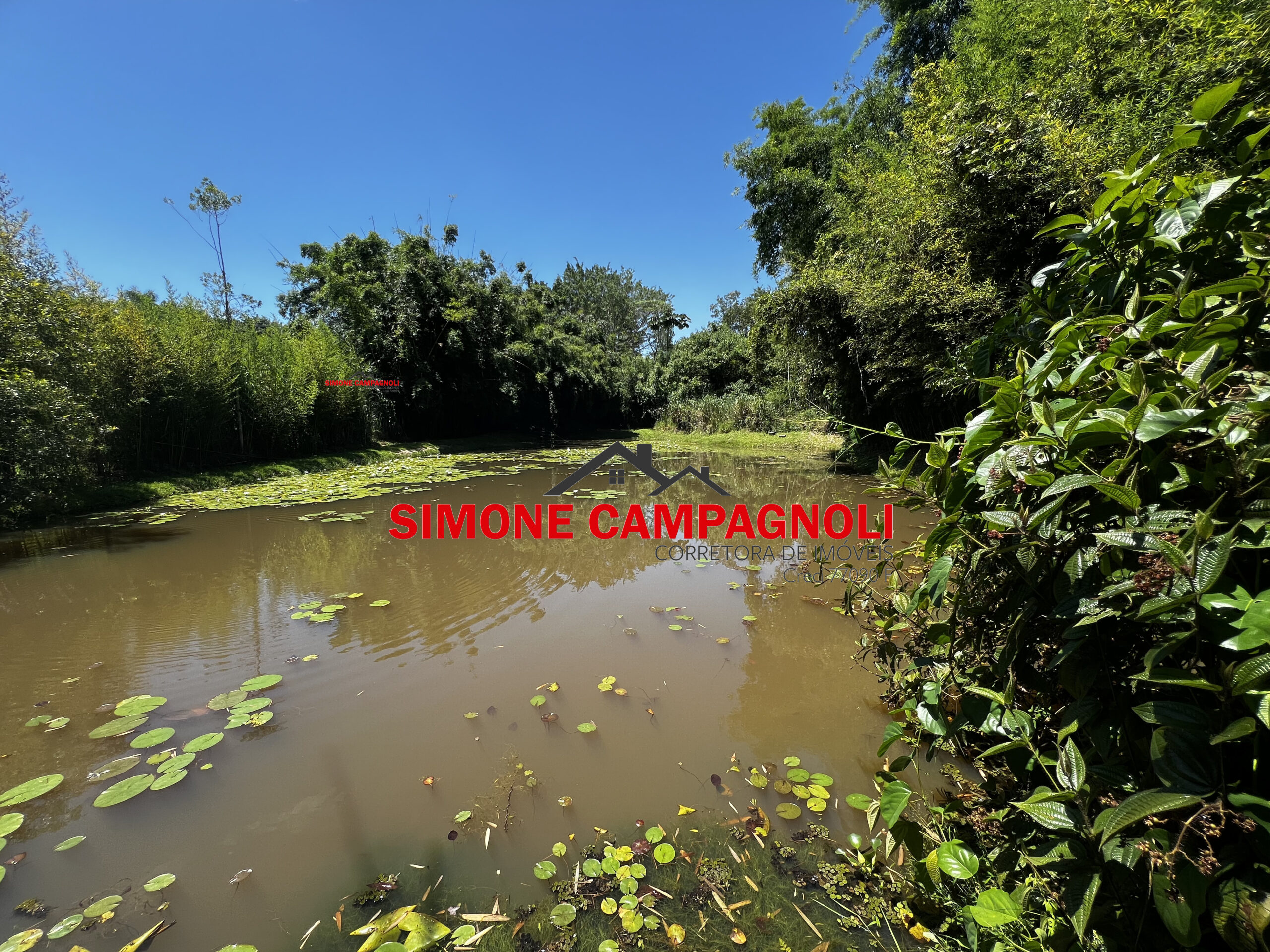Sítio com ótima topografia no bairro Lambari - 64.825m² - Imobiliária Simone Campagnoli